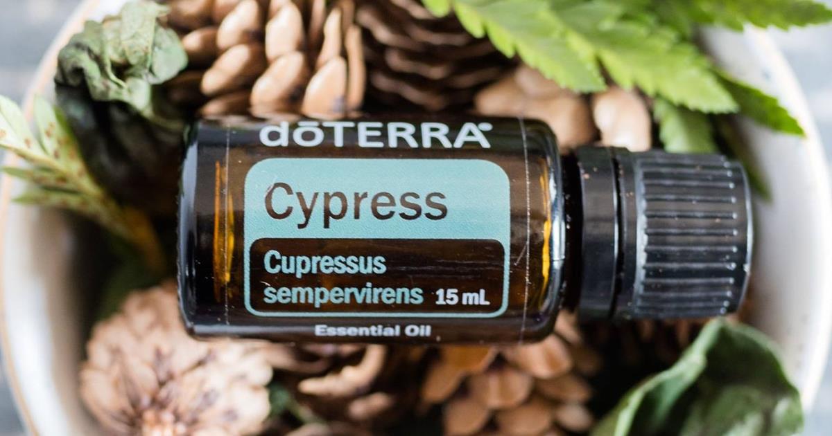 doTERRA Cypress Oil