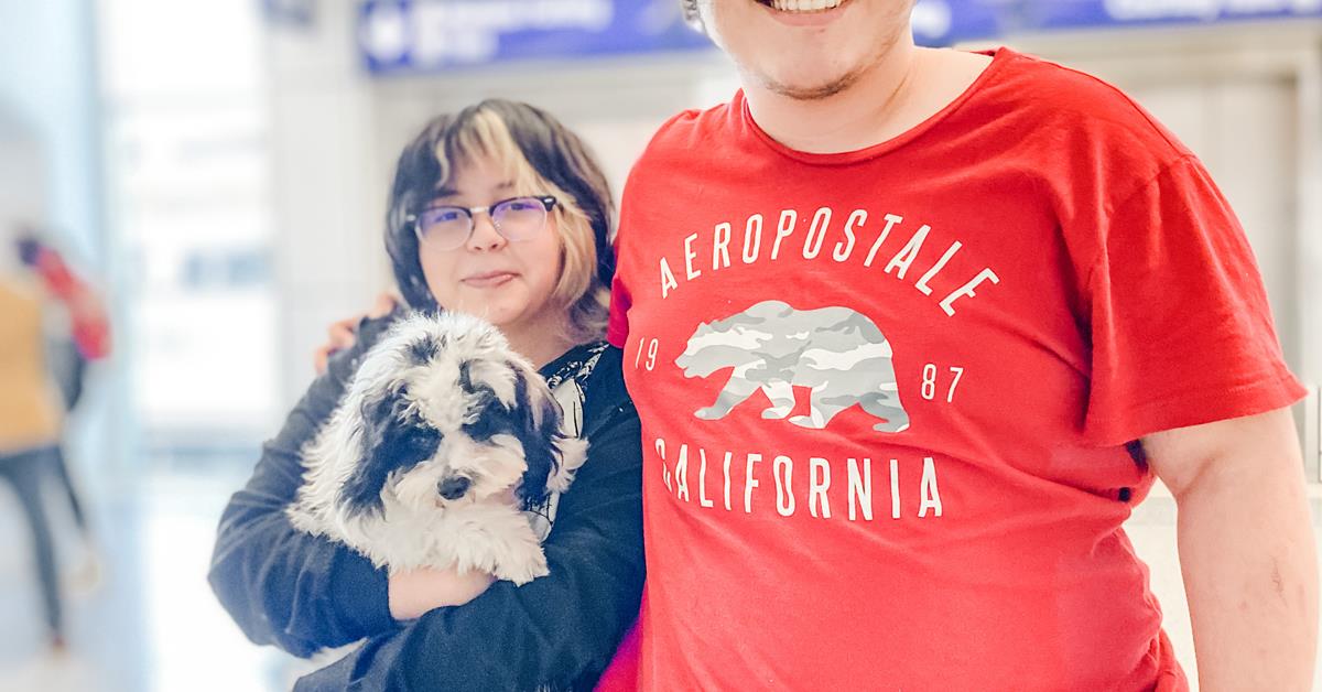 Volunteer | Habibi Bears | Beloved Teddy Bear puppies - trained puppies ...