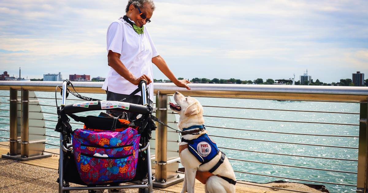 The Benefits of Service Dogs for Veterans