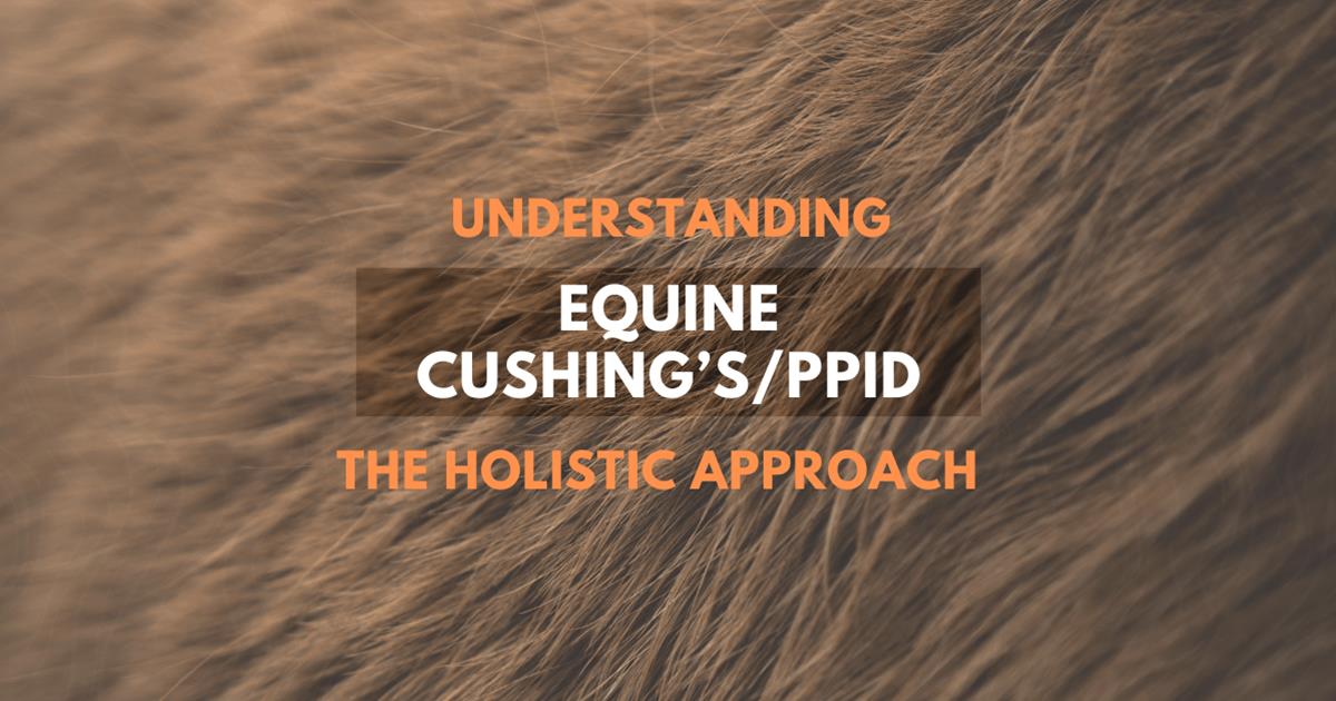 Understanding Equine Cushing's Syndrome and PPID: A Comprehensive Holistic Approach